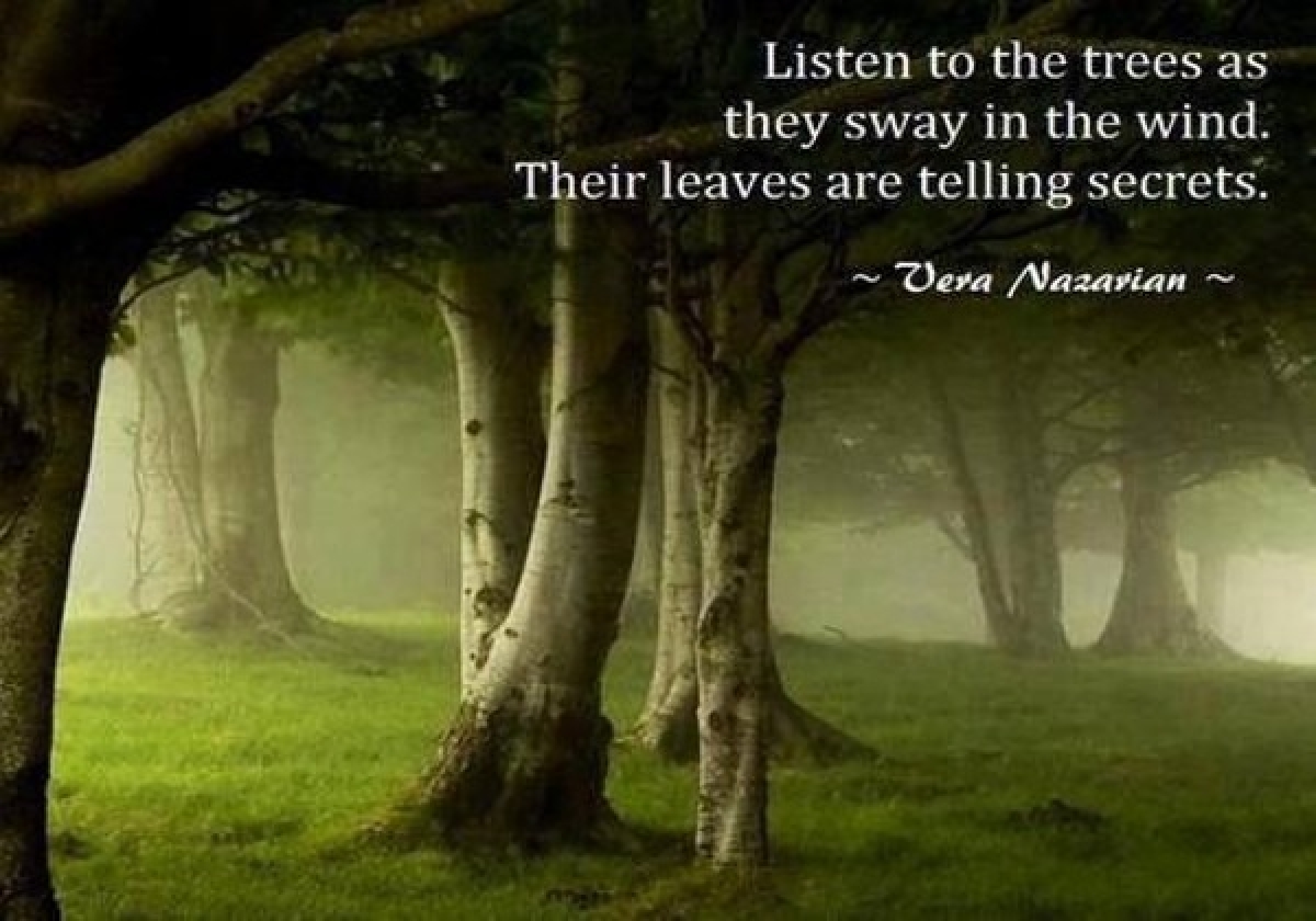 Communicate With Nature With These 7 Easy & Simple Steps!