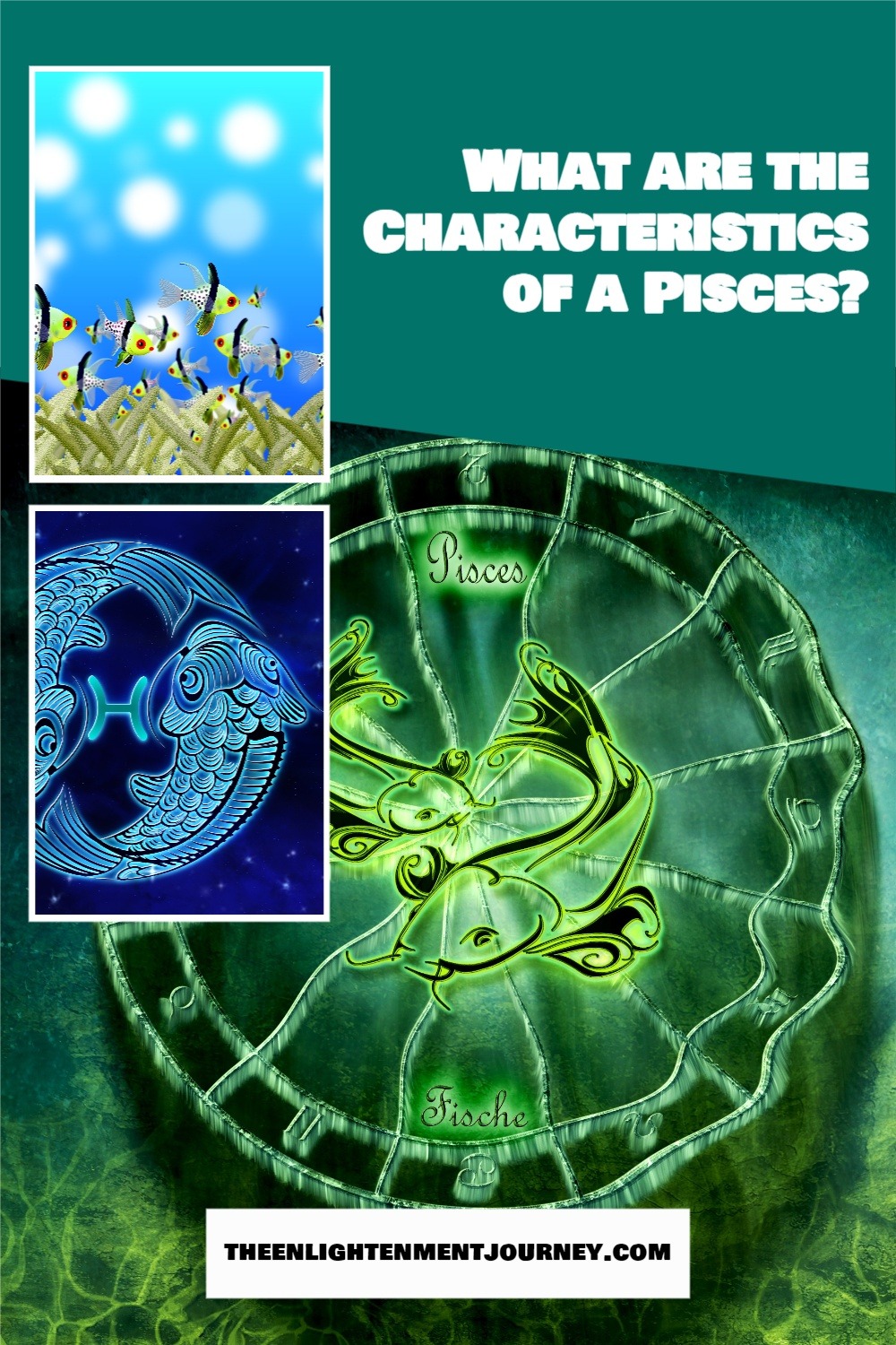 What Are The Characteristics Of A Pisces?