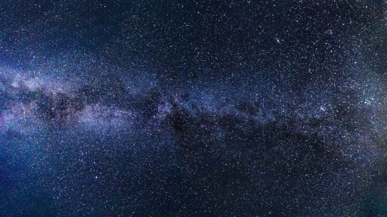 What Are The Different Types Of Starseeds?