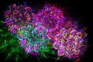 Merlin The Magician: Legendary Wizard Of Arthurian Myth